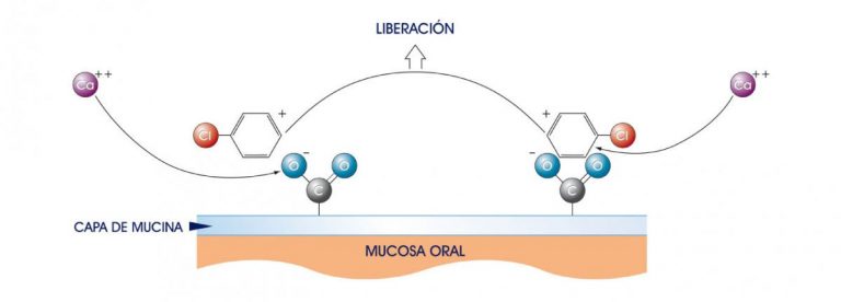 Chlorhexidine (CHX) | Dental Plaque | Perio Expertise
